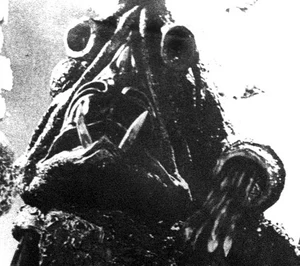 Rill | Especies Alienígenas Wiki | Fandom