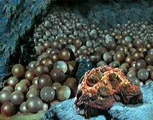 Horta | Especies Alienígenas Wiki | Fandom
