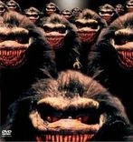 Crite | Especies Alienígenas Wiki | Fandom