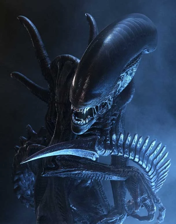 Xenomorfo Adulto (Drone) | Especies Alienígenas Wiki | Fandom