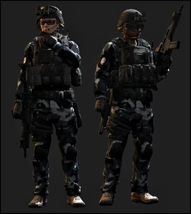 Penumbra Aviation and Aeronautics Private Military Corporation ...