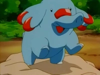 Donphan de Ash | Pokémon Wiki | Fandom