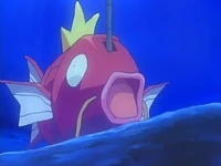 Episodio 42 (Diamante y Perla) | Pokémon Wiki | Fandom