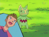 Kecleon de Harrison | Pokémon Wiki | Fandom