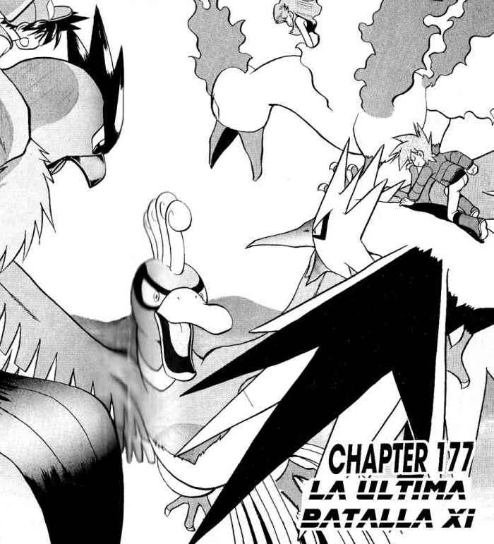 PMS177 | Pokémon Wiki | Fandom