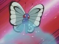 Happy | Pokémon Wiki | Fandom