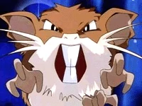 Evolucion Pokemon Raticate