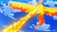 Moltres | WikiDex | Fandom