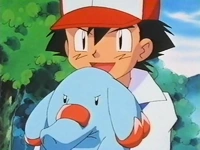 Donphan de Ash | Pokémon Wiki | Fandom