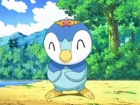 Pippy | Pokémon Wiki | Fandom