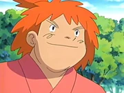Campeonato de la Liga Hoenn | Pokémon Wiki | Fandom