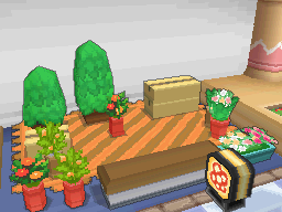 Floristería (Galería Unión) | Pokémon Wiki | Fandom