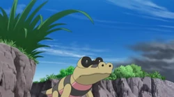 Evolución Sandile Brillante