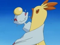 Chimecho de James | Pokémon Wiki | Fandom