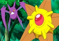 Crobat de Brock | Pokémon Wiki | Fandom