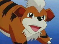 Growlie | Pokémon Wiki | Fandom
