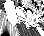 Sird | Pokémon Wiki | Fandom