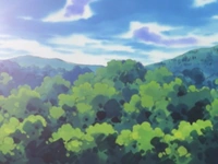 Bosque Shroomish | Pokémon Wiki | Fandom