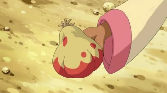 Baya Pabaya | Pokémon Wiki | Fandom