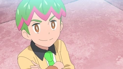 Seiya | Pokémon Wiki | Fandom