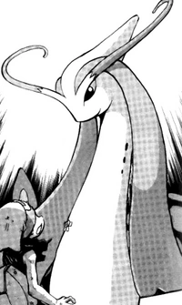 Mimi | Pokémon Wiki | Fandom