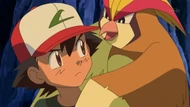 Pidgeot de Ash | Pokémon Wiki | Fandom