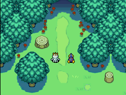 Bosque Tétrico | Pokémon Wiki | Fandom