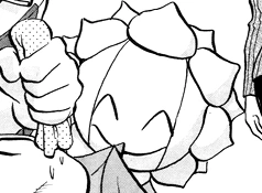 Sintaro | Pokémon Wiki | Fandom