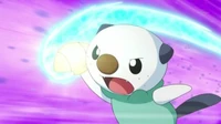 Concha filo | Pokémon Wiki | Fandom