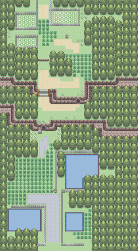 Ruta 204 | Pokémon Wiki | Fandom