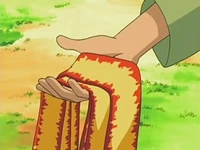 Cinta focus | Pokémon Wiki | Fandom