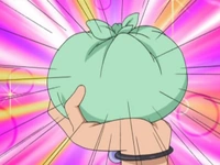 Pokocho | Pokémon Wiki | Fandom