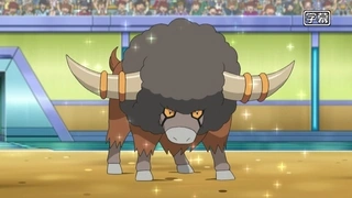 Categoría:Pokémon de Mirto | Pokémon Wiki | Fandom