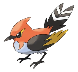 Fletchinder | Pokémon Wiki | Fandom