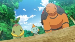Gráfico De Evolución De Torkoal