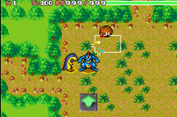 Bosque Tétrico | Pokémon Wiki | Fandom