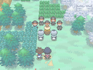 Ruga | Pokémon Wiki | Fandom