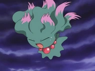 Peque Miss | Pokémon Wiki | Fandom