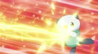 Oshawott de Ash | Pokémon Wiki | Fandom