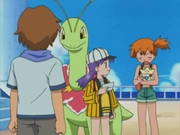 EH11 | Pokémon Wiki | Fandom