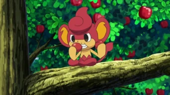 Gula | Pokémon Wiki | Fandom