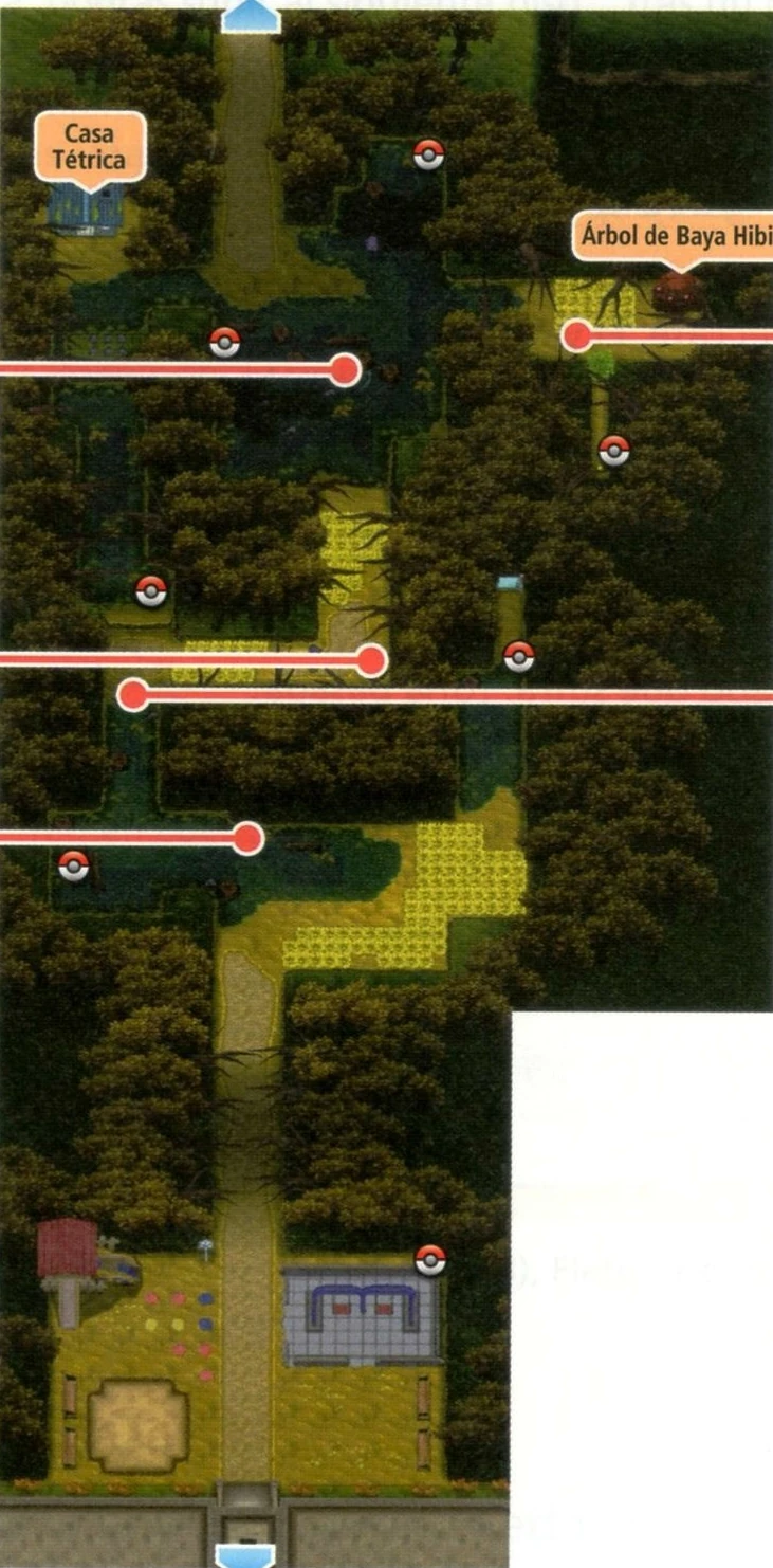 Ruta 14 (Kalos) | Pokémon Wiki | Fandom