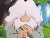 Poké flauta | Pokémon Wiki | Fandom
