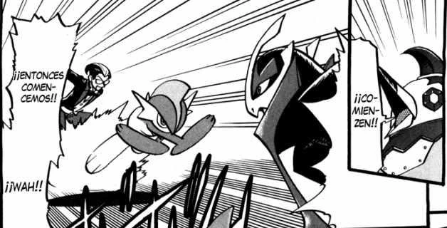 PMS419 | Pokémon Wiki | Fandom