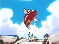 Marina (Archipiélago Naranja) | Pokémon Wiki | Fandom