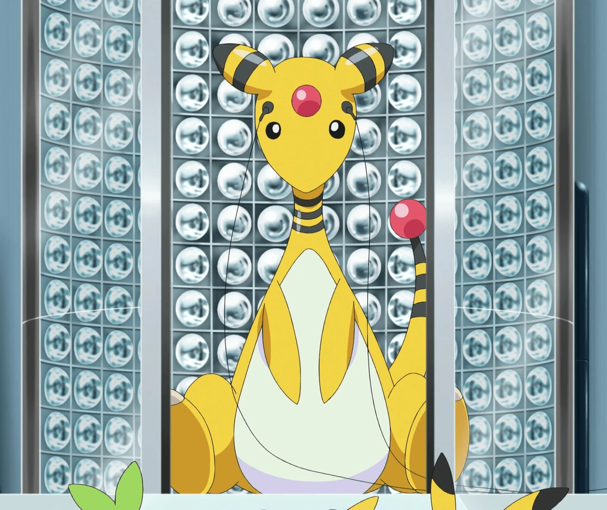 Ampharos de Lario/Molayne | Pokémon Wiki | Fandom