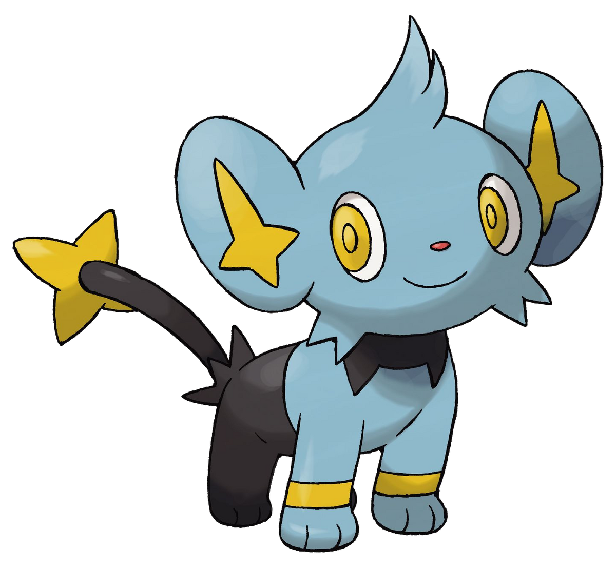 Shinx | Pokémon Wiki | Fandom
