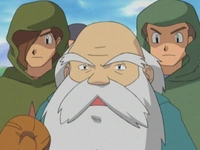 Obee | Pokémon Wiki | Fandom