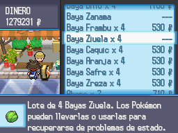 Floristería (Galería Unión) | Pokémon Wiki | Fandom