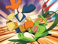Hariyama de Coro | Pokémon Wiki | Fandom